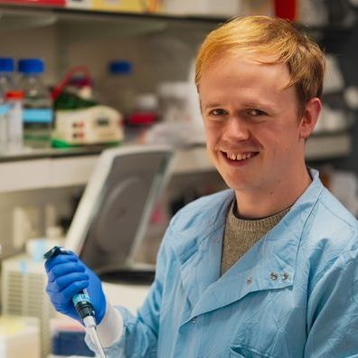 mmc series | Reflections on the RMS Diploma - Study, Mentorship and ...