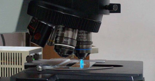 RMS | infocus #21 March 2011 Development and Testing of an Ultraviolet ...