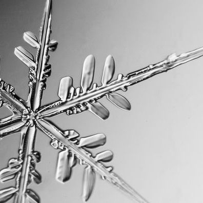 ACEM | From the President - 2024