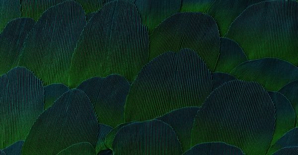 RMS | Electron Microscopy Core Facility, FBMH, University of Manchester