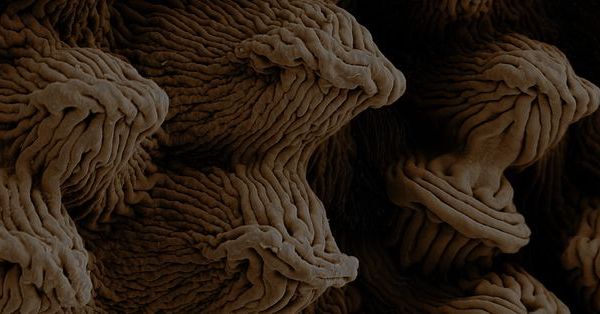 RMS | Basics of Electron Microscopy Virtual Spring School 2021