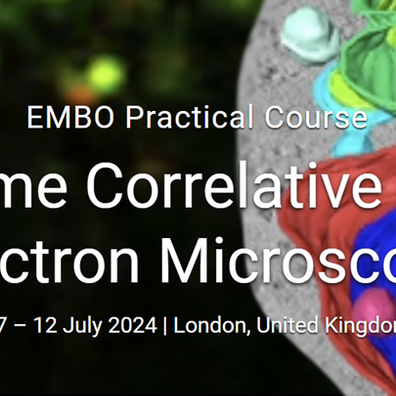 RMS | EMBO Practical Course: Volume Correlative Light Electron Microscopy