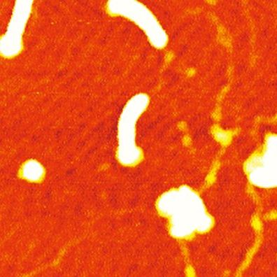 mmc series | Exhibitor Manual