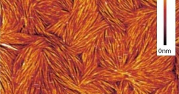 mmc series | infocus #66 June 2022 Nanoscale imaging of proteins ...