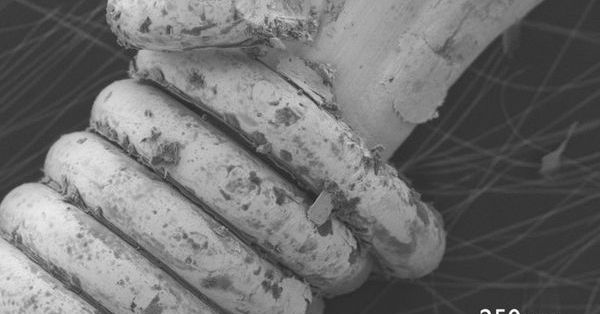 RMS | infocus #72 December 2023 Celebrating three years of the Portable ...