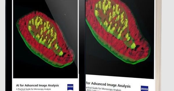 ACEM | infocus #72 December 2023 Artificial Intelligence (AI) for ...