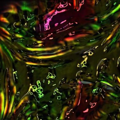 ACEM | infocus #71 September 2023 Light Under the Microscope