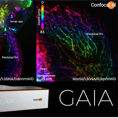 RMS | Sponsored Content: GAIA: Deep Live Cell Imaging in Super Resolution