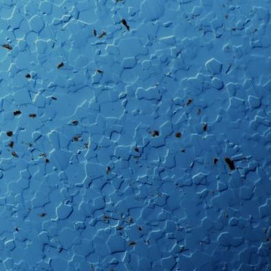 RMS | Sponsored content: Book Your Live Demo with TESCAN at MMC 2025